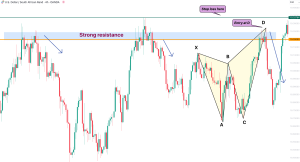 Harmonic Trading Strategies and Patterns Explained